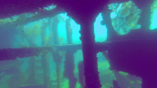 Дайвинг Венесуэла Diving о.Margarita Isla Cabagua