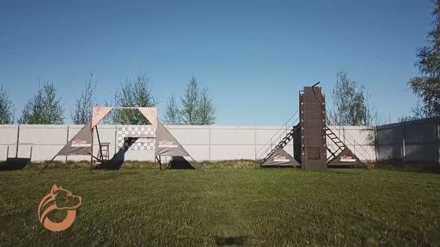 Открытая площадка в Янино DogsEnergym г. Санкт-Петербург