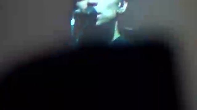 Дельфин. Весна.