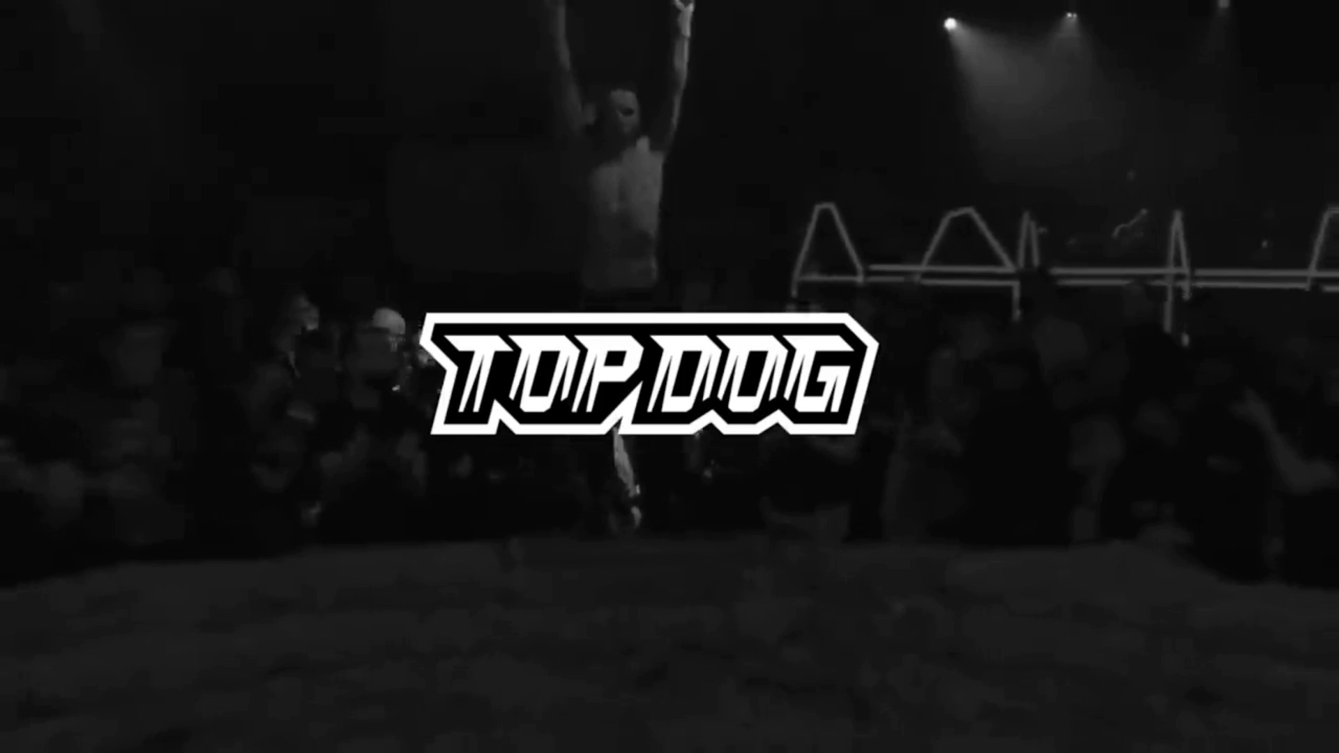 Криминальный бит - TOPDOG