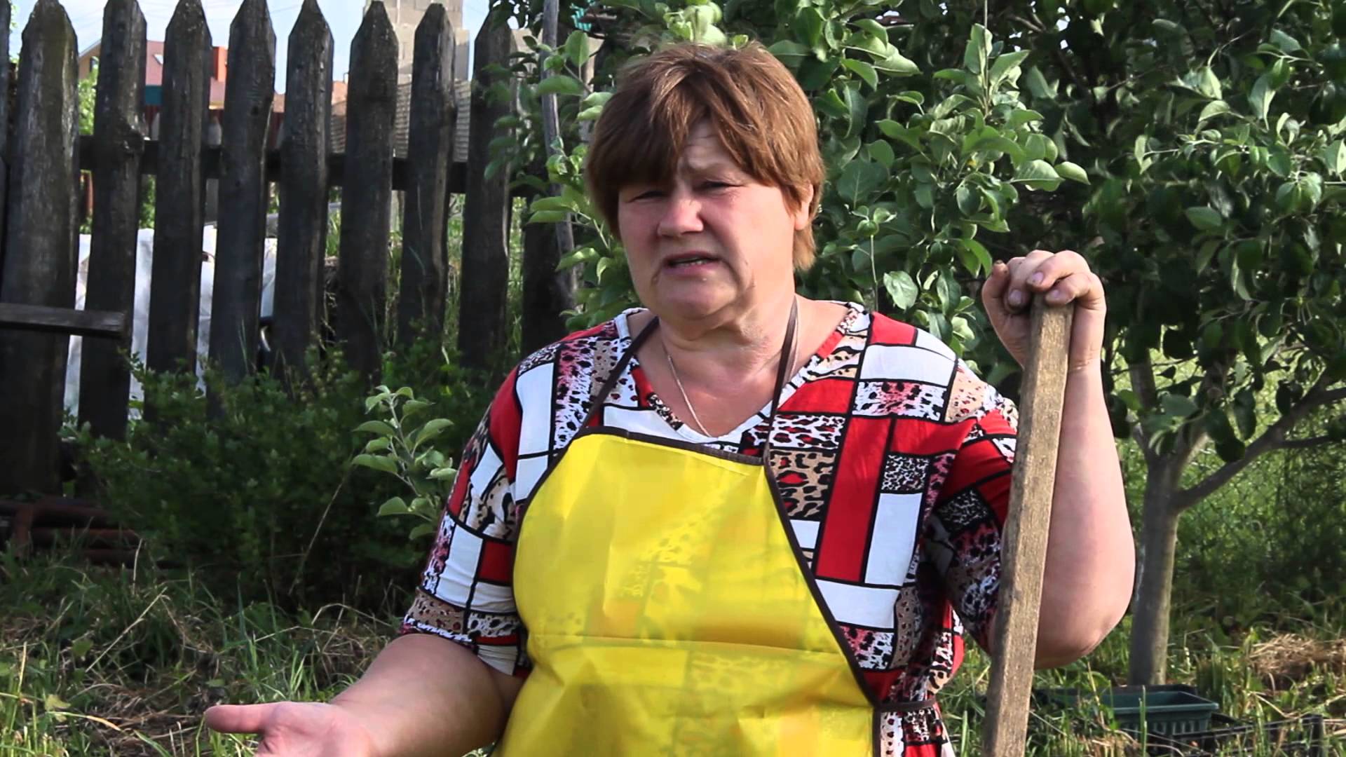 Увеличиваем головку и лежкость чеснока. Тонкости по уходу в июле.