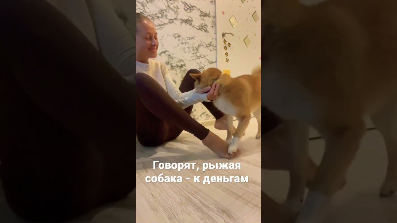 Богатство начинается с СОСТОЯНИЯ. Какой вы, что вы транслирует и чего хотите, то и притягивается.