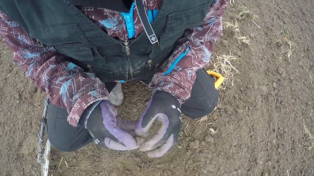 Удел Дмитрия Донского  Как искать монеты на поле