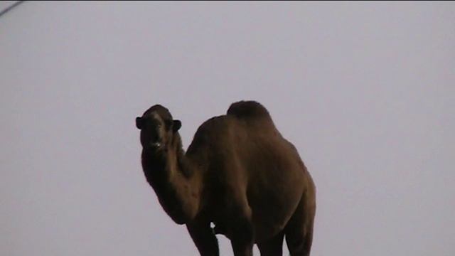 Осенний вояж 2023 года