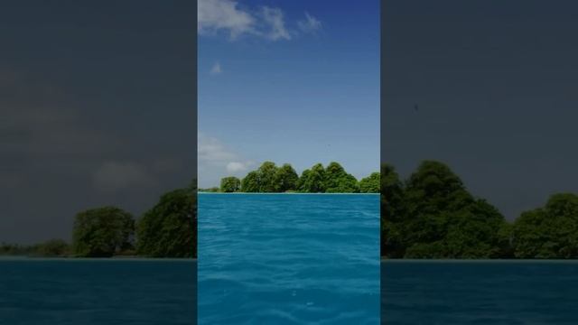 Видеообои "Возьмите все это..."