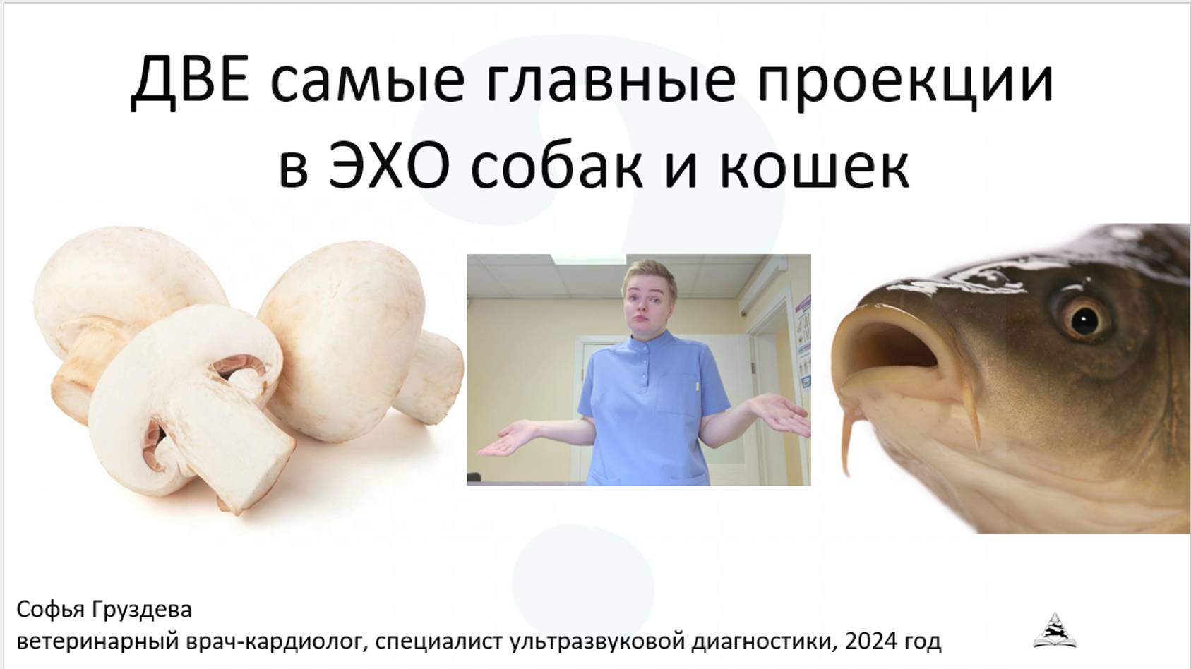 ВСЕГО 2 ПРОЕКЦИИ, ЧТОБЫ НАЧАТЬ ДЕЛАТЬ УЗИ СЕРДЦА | Почему именно они? Рассказываю в этом видео