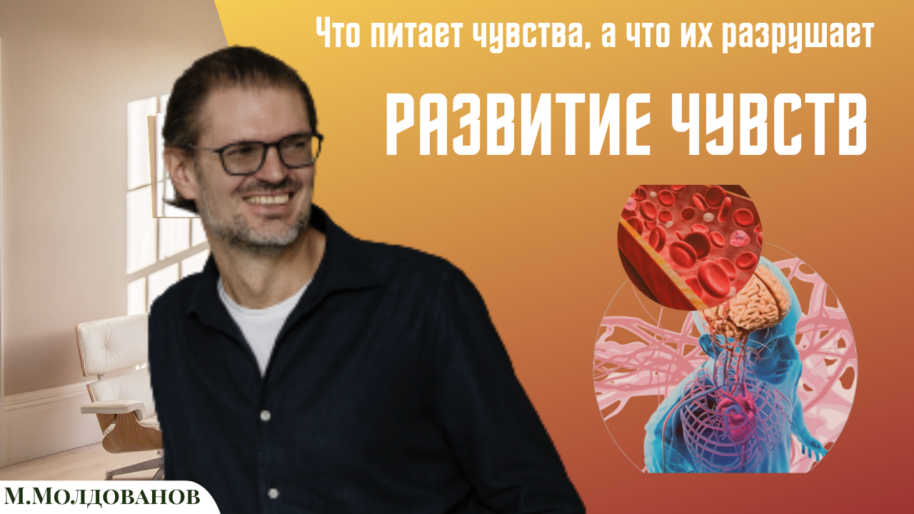 Развитие чувств.