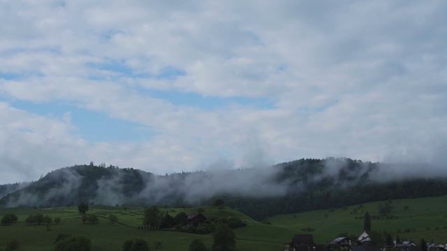 Биоцентризм: Свет и действия (глава 4)