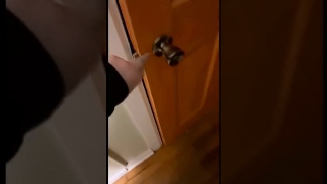 Смешные фейлы котов