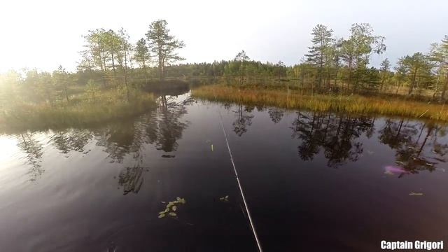Рыбалка в лесу на болоте, щука окунь на Жихаревских карьерах, рыбалка в Жихарево