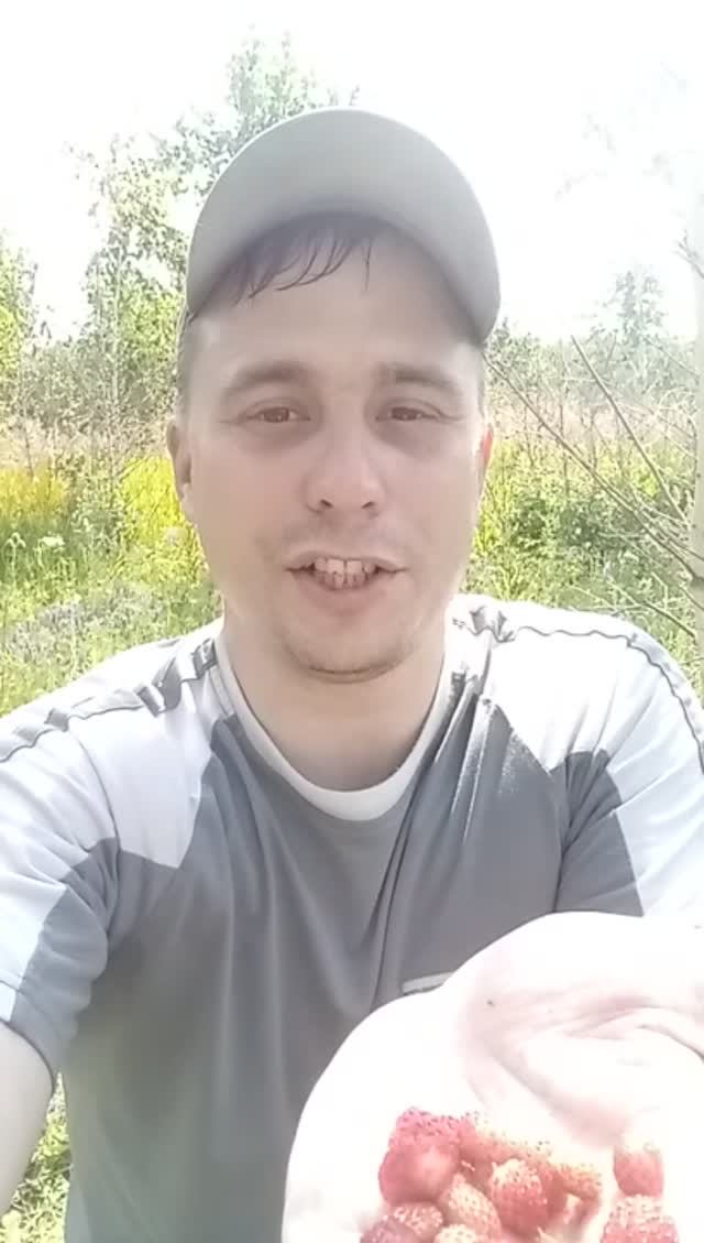 Владимир Ветрав. Нынче в поле (авторский стих)