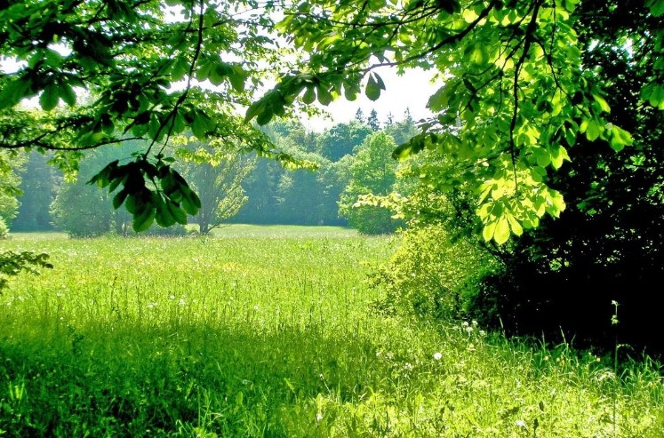 Малая  Родина.  Автор  текста Виктор Веселов. Стихи.