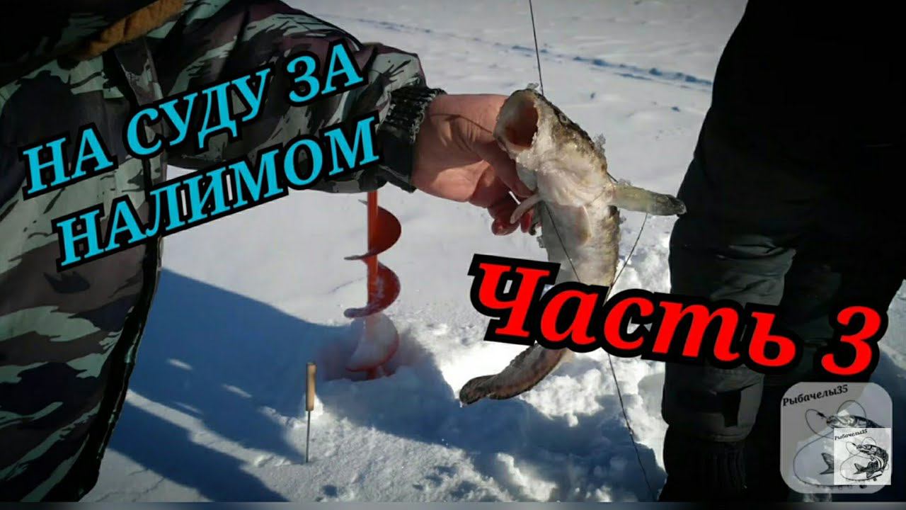 Зимняя рыбалка на Суде в"4к".Охота Налима-3я ЧАСТЬ. ТЕСТИРУЕМ ПОДВОДНУЮ КАМЕРУ ДЛЯ РЫБАЛКИ!!!