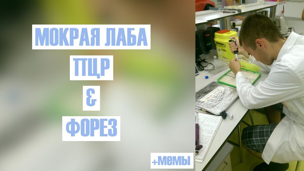 Методы МОКРОЙ ЛАБЫ | ПЦР и ФОРЕЗ | мемный выпуск