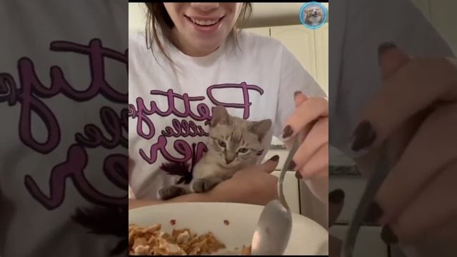 Смешные животные только самое смешное