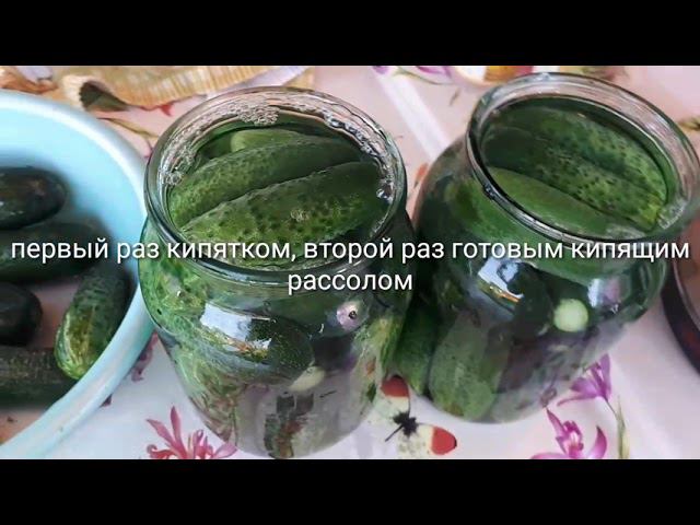 Болгарские маринованные огурцы.