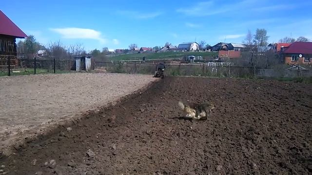 05. Вспашка весной.