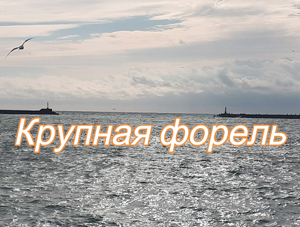 Туапсе 07.02.2022 набережная: рыбалка на крупную форель.