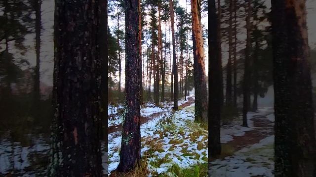 Конец зиме, опять весна