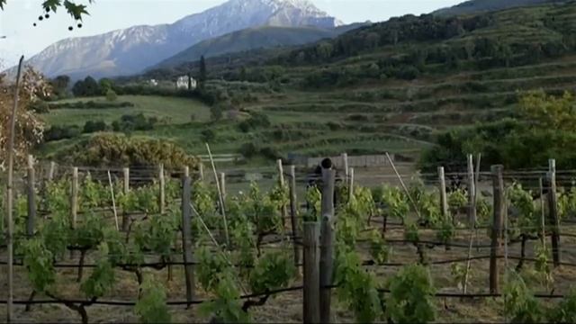 Духовник - О посту суботом