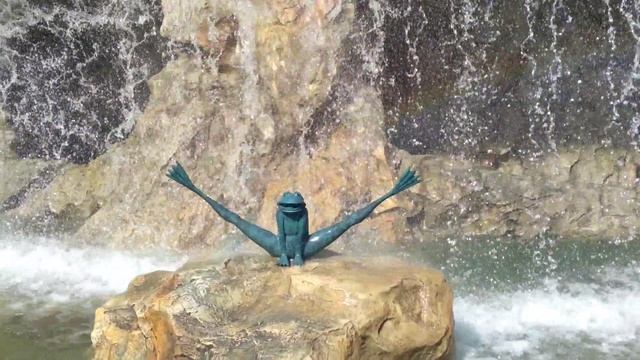 Влог! ищу всех лягушек в парке?