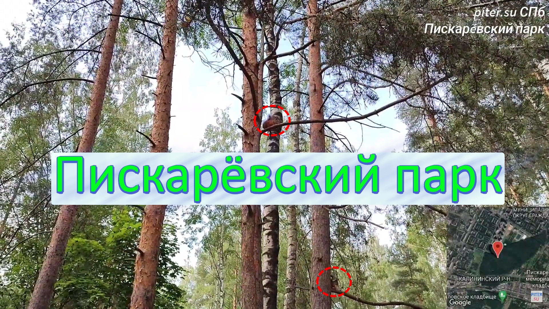 Пискарëвский парк Санкт-Петербурга | Калининский район СПб piter.su