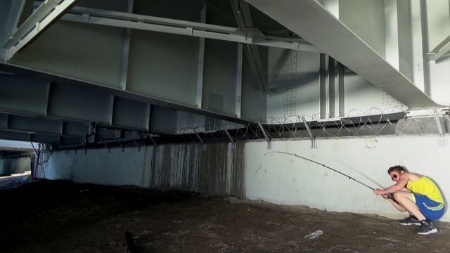 "Что происходит?" - "Неожиданный улов" (2020)