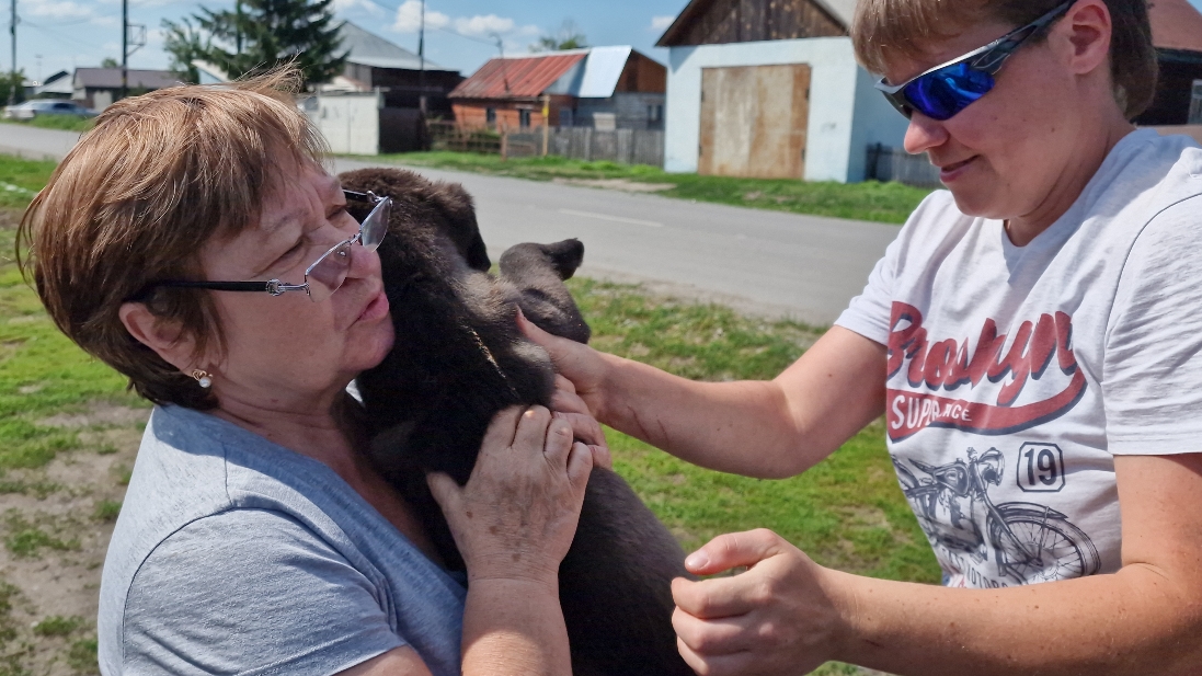 ?В жизни ?бездомного ?щенка Демида произошло одно событие | никто не ожидал такого поворота | Pup