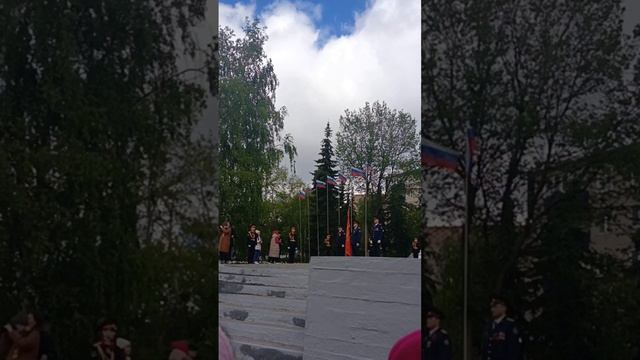 352-я стрелковая Оршанская Краснознамённая ордена Суворова дивизия