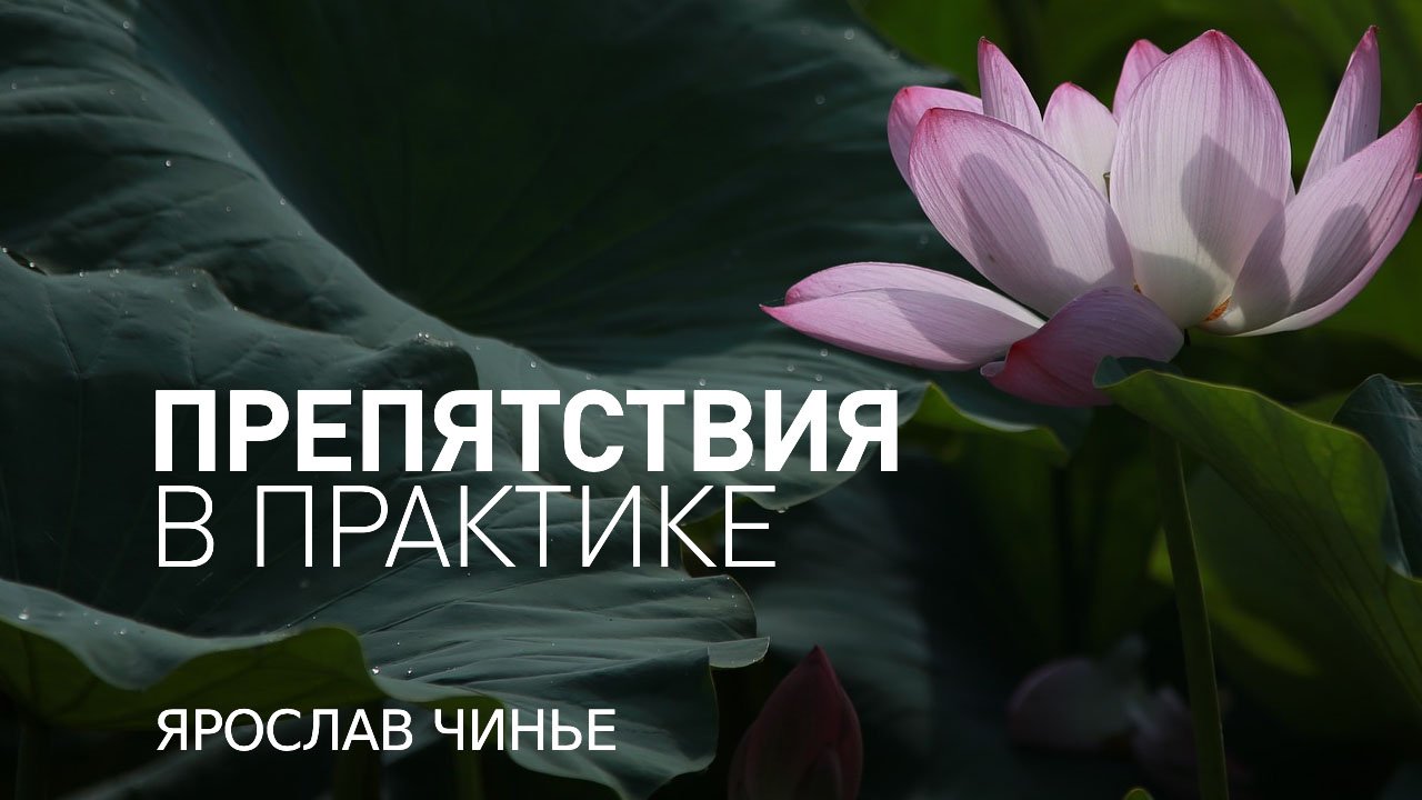 Майндфулнесс. Практика осознанности. Препятствия в практике.