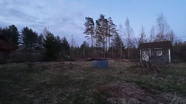 Birdsong in the early morning