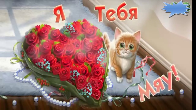 Розы и котенок