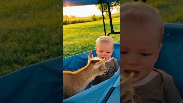 VID_20221216_185717_326.mp4