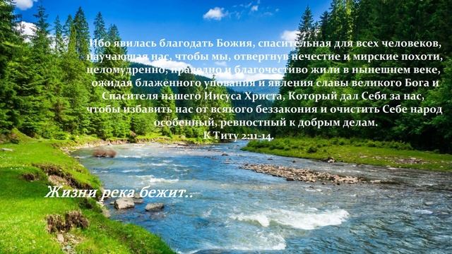 Жизни река бежит, в вечность она ведёт..