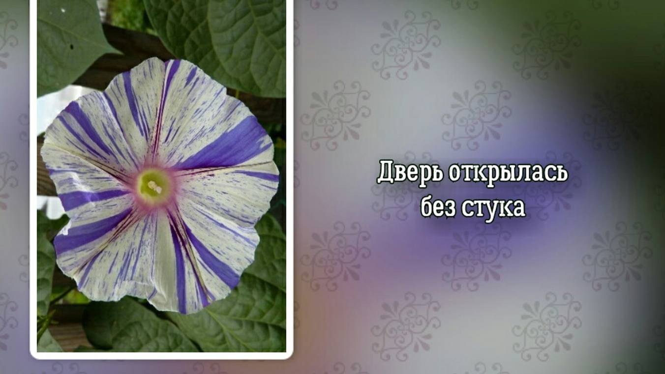 Дверь открылась без стука (+)