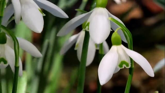 20201227_PRM_DZ_02 Основные монтажные операции