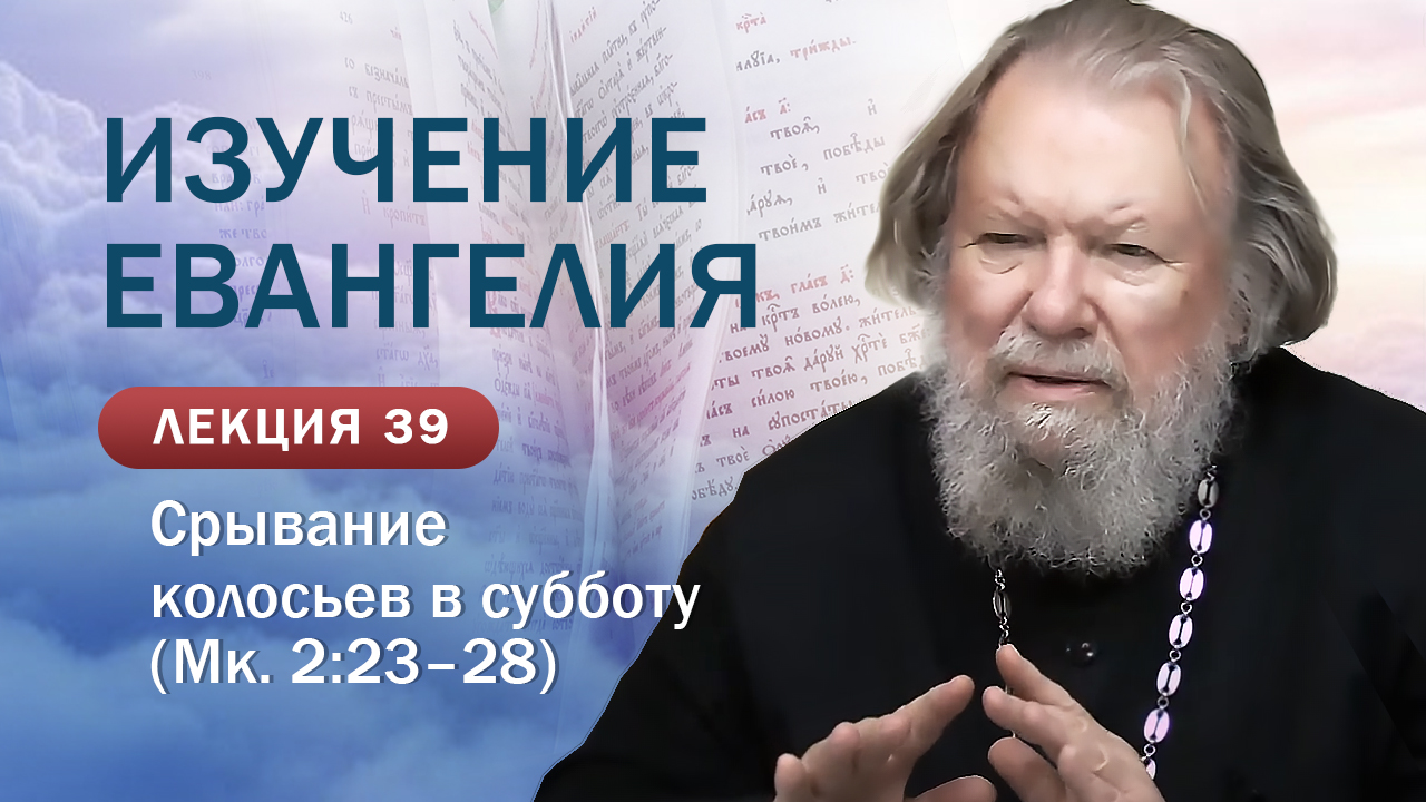 Изучение Священного Писания. Срывание колосьев в субботу. Мк. 2, 23-28. Занятие №39