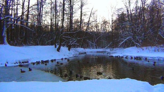 Медитация 170