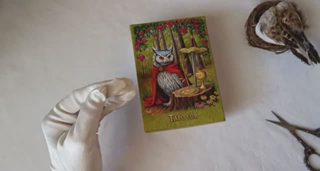 ТАРО СОВ🦉 Распаковка и обзор