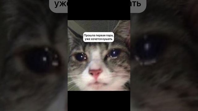 Будни студента