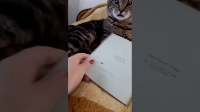 НенаВлог: Масяня, минус 20 кг,  завтраки, дом детства, чемодан, дневники, Котлас, Турция, КВИЗ