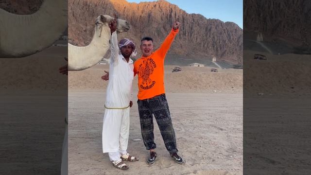 Египет, пустыня, верблюды и багги 2022г