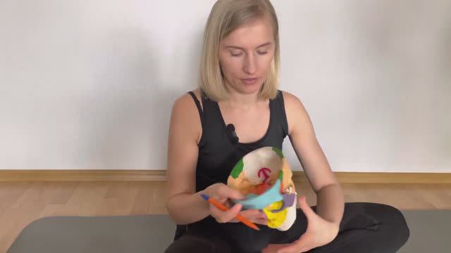 Упражнение на укрепление мышц-сгибателей шеи. Рекомендуется выполнять при наличии "холки"