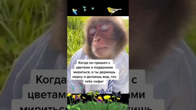 Мне пофиг я знаю себе цену