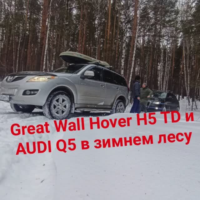 Great Wall Hover H5 TD и Audi Q5  в зимнем лесу