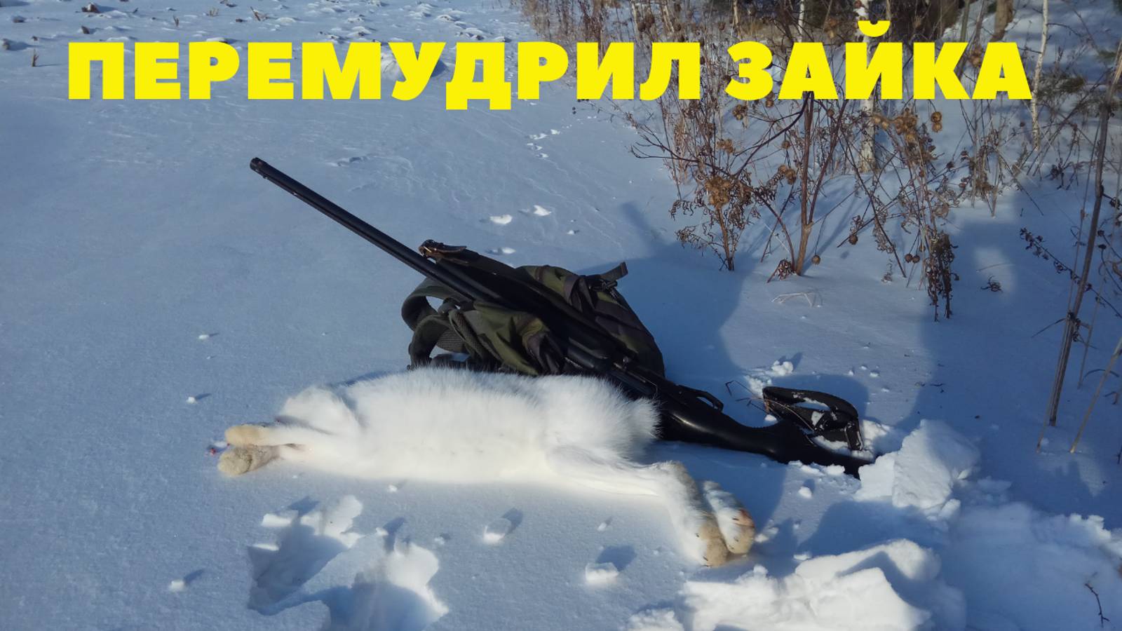 ИНДЕЙСКИЙ СПОСОБ ОХОТЫ НА ЗАЙЦА БЕЛЯКА