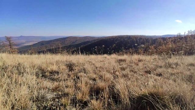 #1 Хребет Крака [short video]