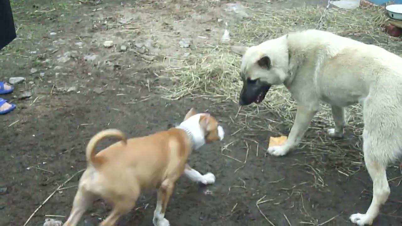 Первое знакомство