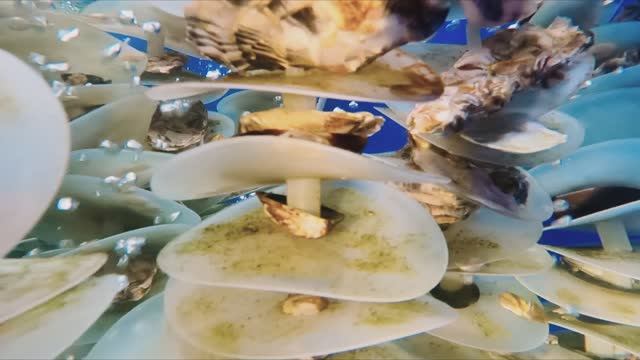 Экспериментальный устричный питомник ФИЦ ИнБЮМ