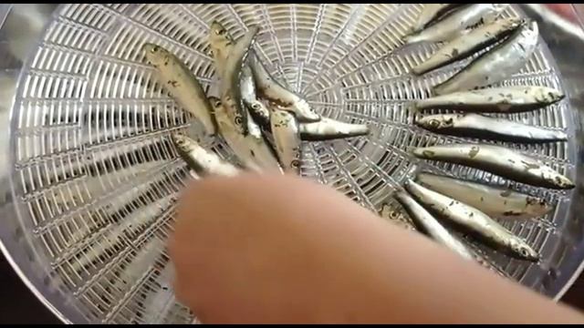 Вяленая килька в дегидраторе